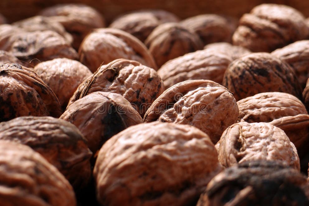 Wall nuts in a wooden box stock photo. Image of natural - 22143558