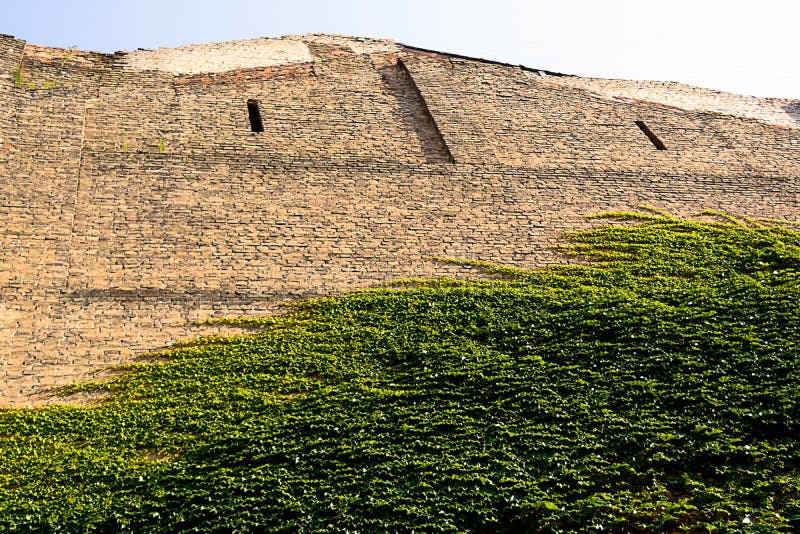 Wall Overgrown, Ancient Brick Wall, Background, Texture,old Dilapidated ...