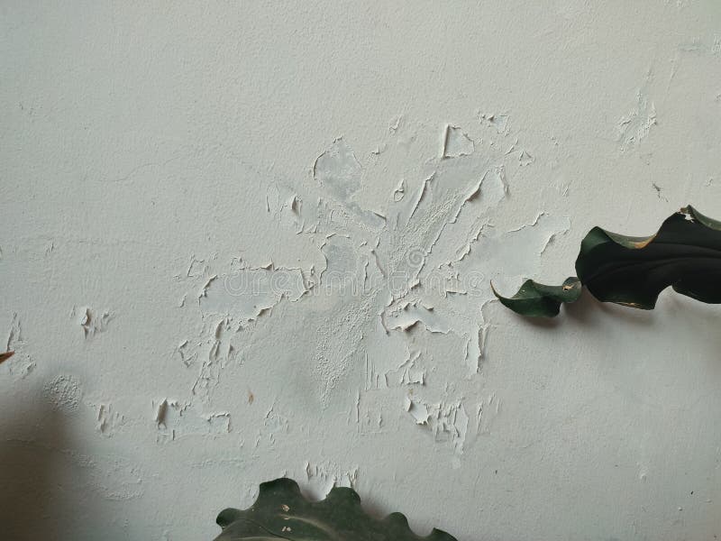 The Wall Paint is Peeling Due To Humidity and Mold. Stock Photo - Image ...