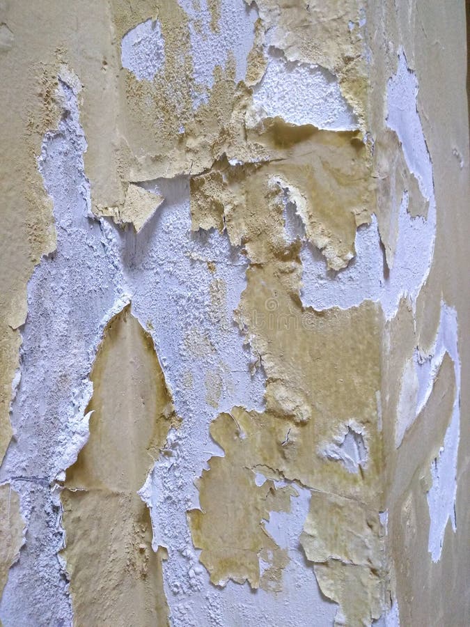 Wall Paint Peeling Off Due To Water Seepage Stock Photo - Image of ...