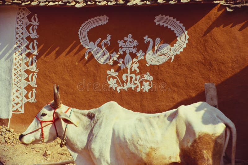 Indian Rural Wall Painting Peacocks with Cow Rajasthan India Stock ...
