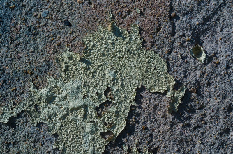 Wall with Peeling Paint, Paint Problem. Inadequate Paint System, Water ...