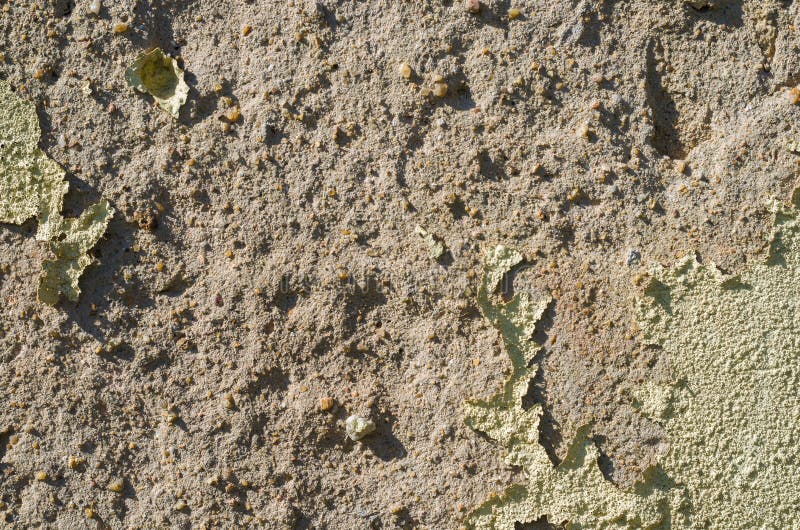 Wall with Peeling Paint, Paint Problem. Inadequate Paint System, Water ...