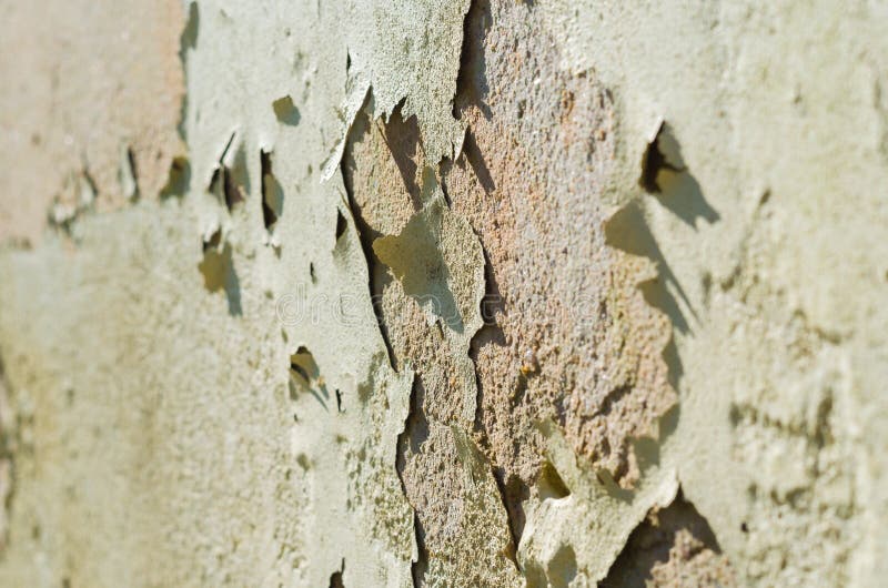 Wall with Peeling Paint, Paint Problem. Inadequate Paint System, Water ...