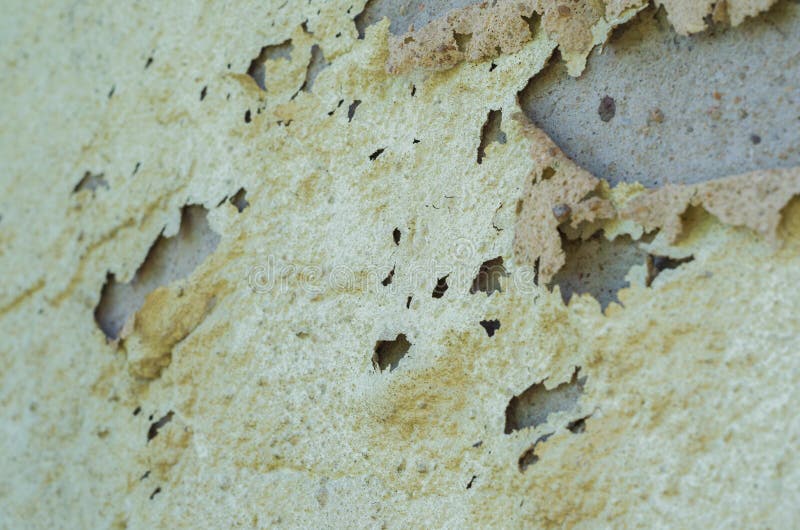 Wall with Peeling Paint, Paint Problem. Inadequate Paint System, Water ...