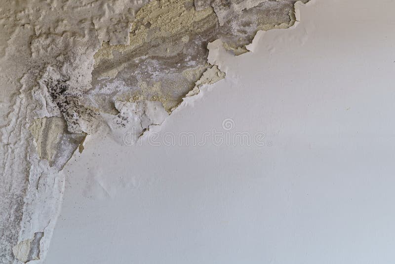Wall with Plaster Will Deteriorate from Dampness Stock Image - Image of ...