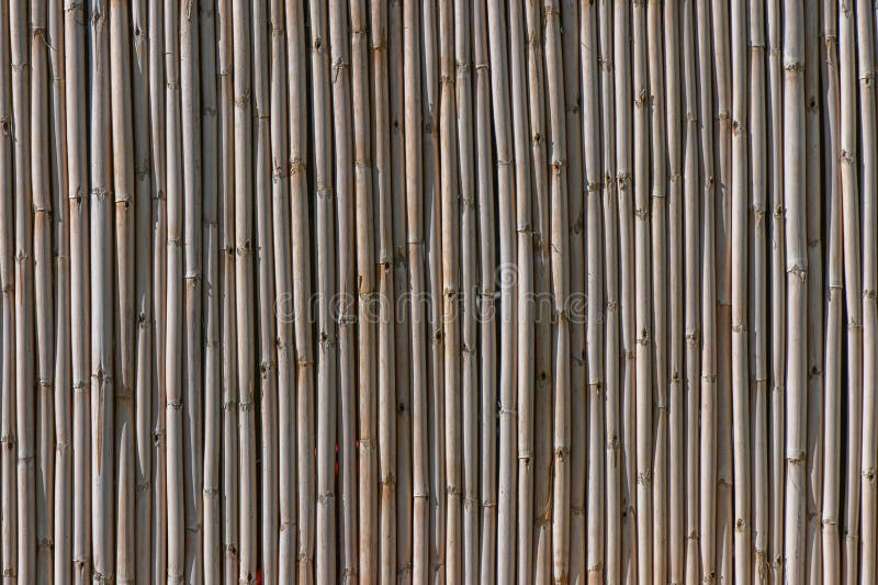 Wall of a Reed Bungalow on the Coast 1 Stock Image - Image of ...