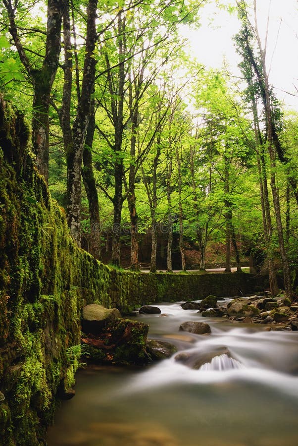 Wall and river stock photo. Image of soft, green, shade - 15060298