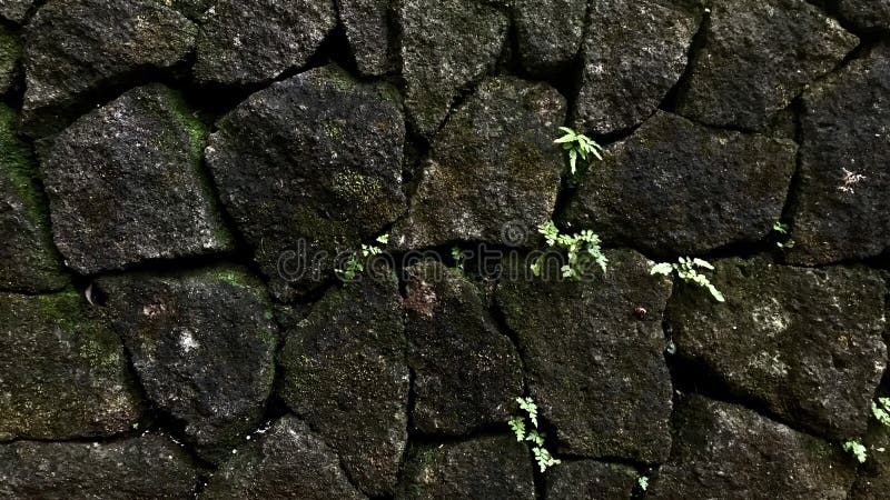 Wall rocks stock image. Image of architecture, fence - 224505595