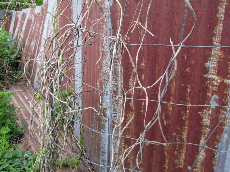 A wall of rusted metal stock photo. Image of wall, industrial - 147550750