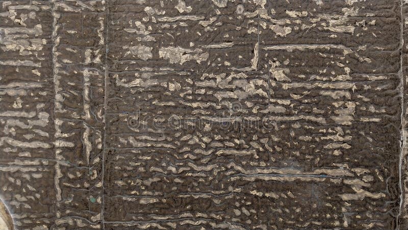 Rustic Wall Texture Worn and Scratched in Black and White, for Multiple ...