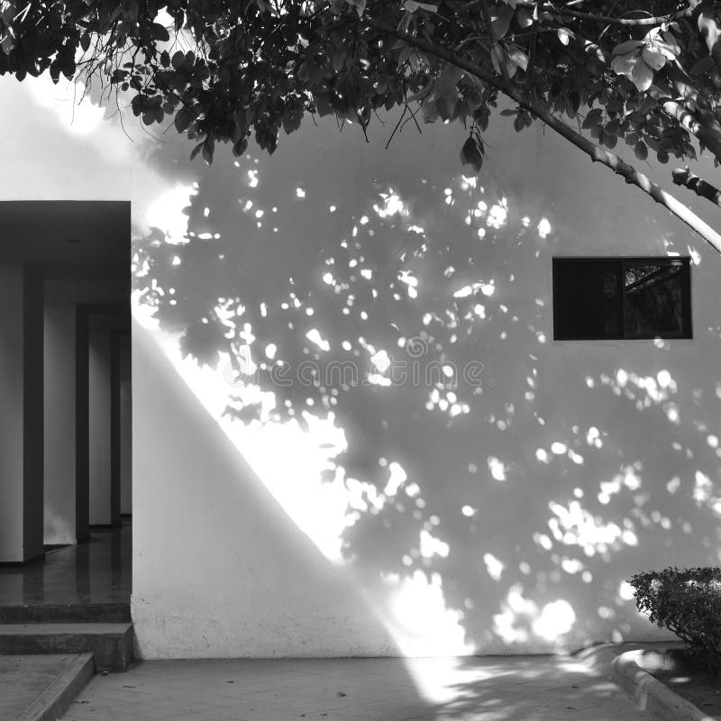 Wall and shadow stock image. Image of shadow, sunlight - 147412935