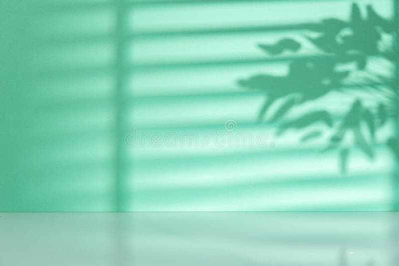 Wall With Shadow Pattern For Product Presentation Background Stock