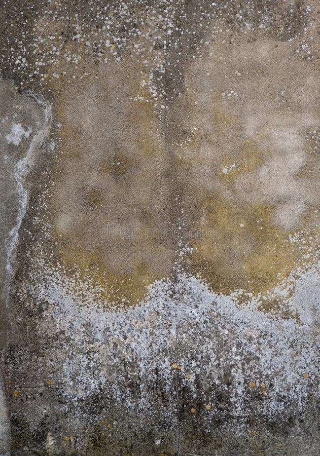 196 Drywall Stain Stock Photos - Free & Royalty-Free Stock Photos from ...