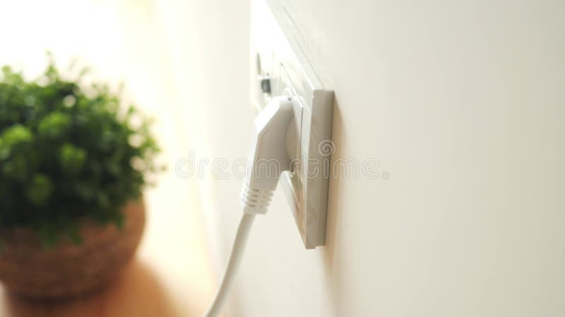 Wall Socket with Plugged in Cable in Bright Room Stock Video - Video of ...
