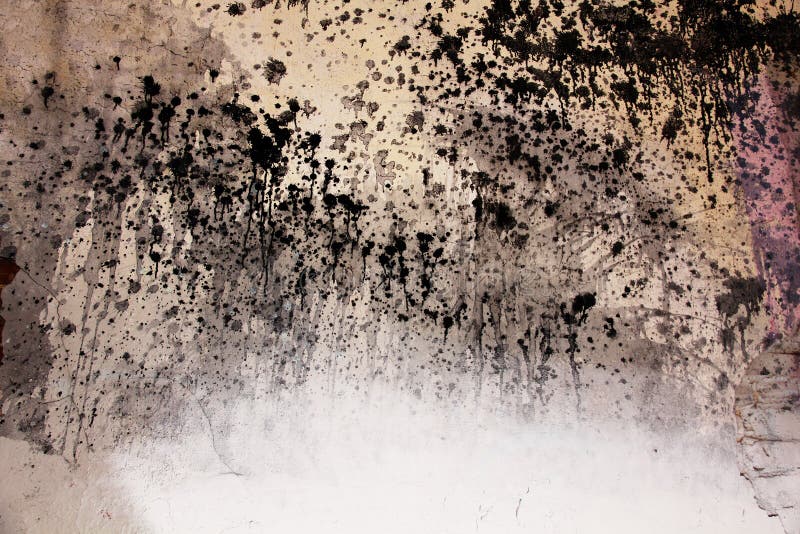 17+ Splattered wall texture Free Stock Photos - StockFreeImages