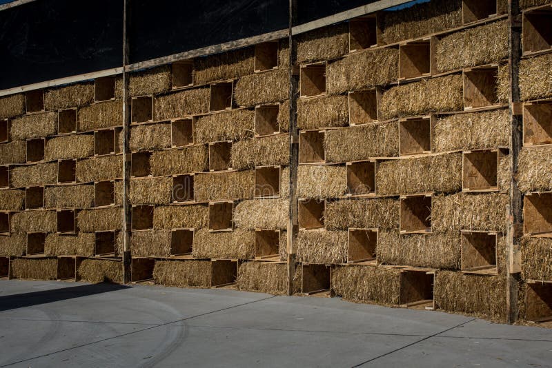 Wall with Stacked Hay Bales in the Farm Stock Image - Image of industry ...