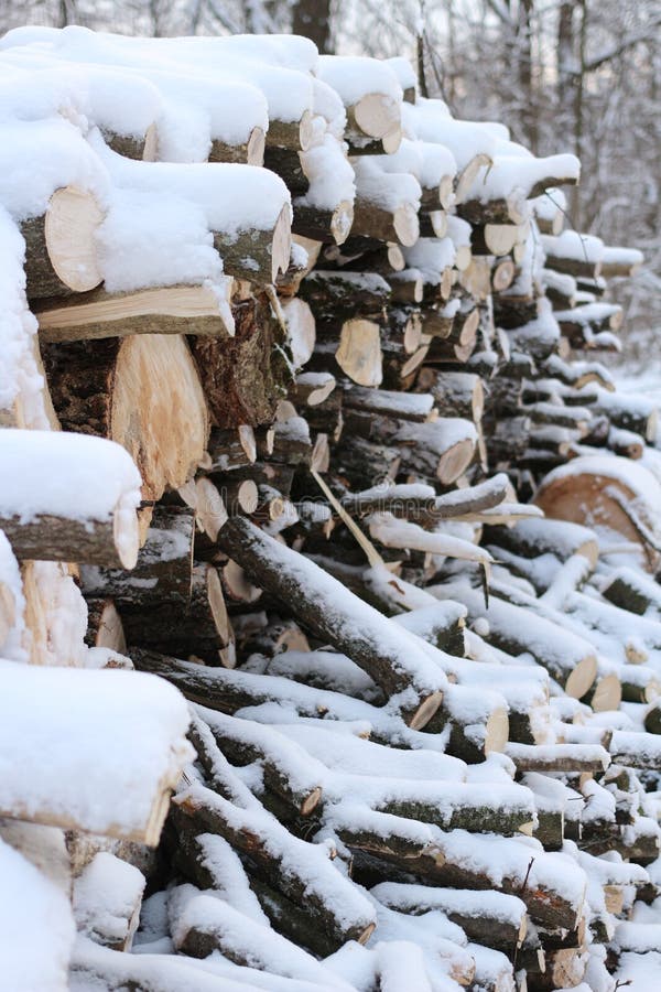 Wall of Stacked Logs and Branches Stock Image - Image of annual, hazel ...
