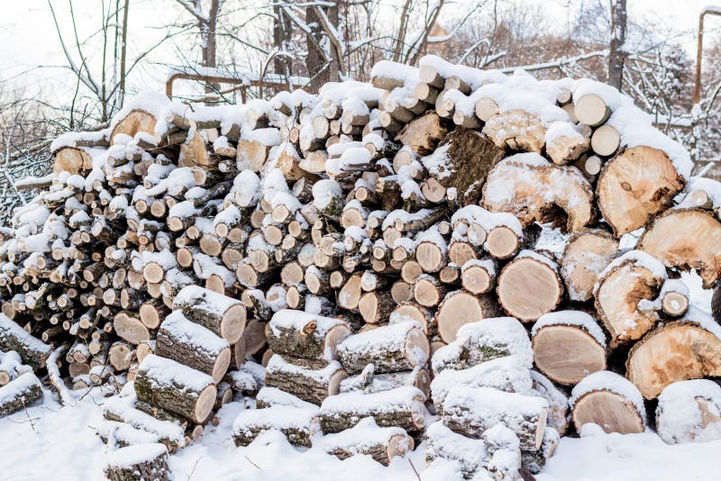 Wall of Stacked Logs and Branches Stock Image - Image of silviculture ...