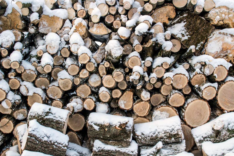 Wall of Stacked Logs and Branches Stock Photo - Image of background ...