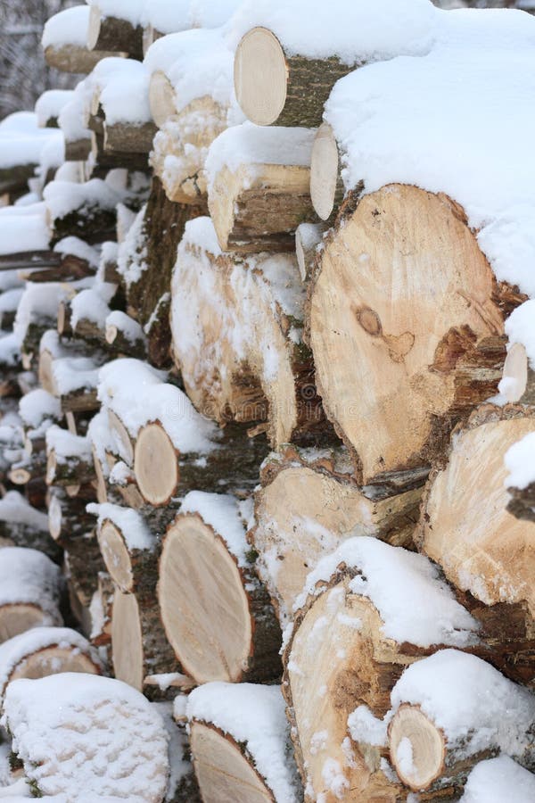 Wall of Stacked Logs and Branches Stock Image - Image of trunk, blank ...