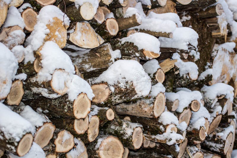 Wall of Stacked Logs and Branches Stock Photo - Image of rings, annual ...