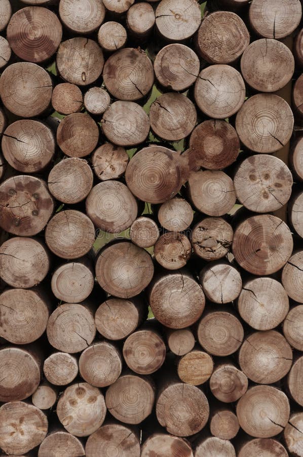 Wall of Stacked Wood Logs As Background Stock Image - Image of firewood ...