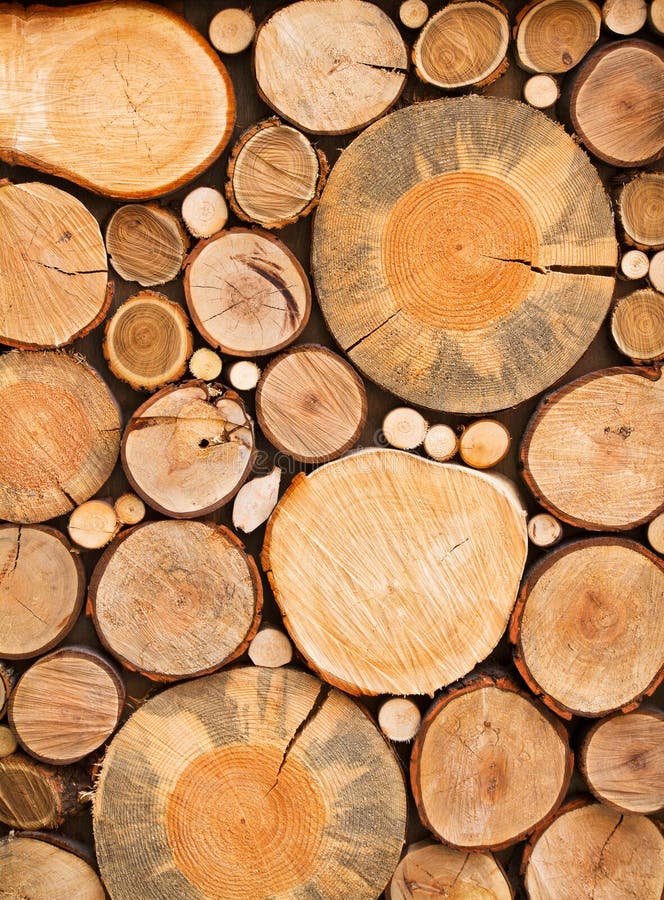 Wall of Stacked Wood Logs As Background, Texture. Stock Photo - Image ...
