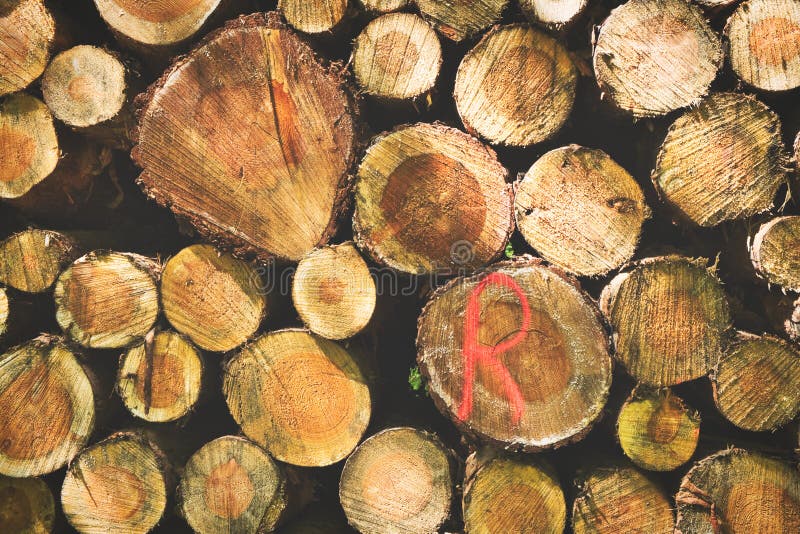 Wall of Stacked Wood Logs with Red Marking Stock Photo - Image of shape ...