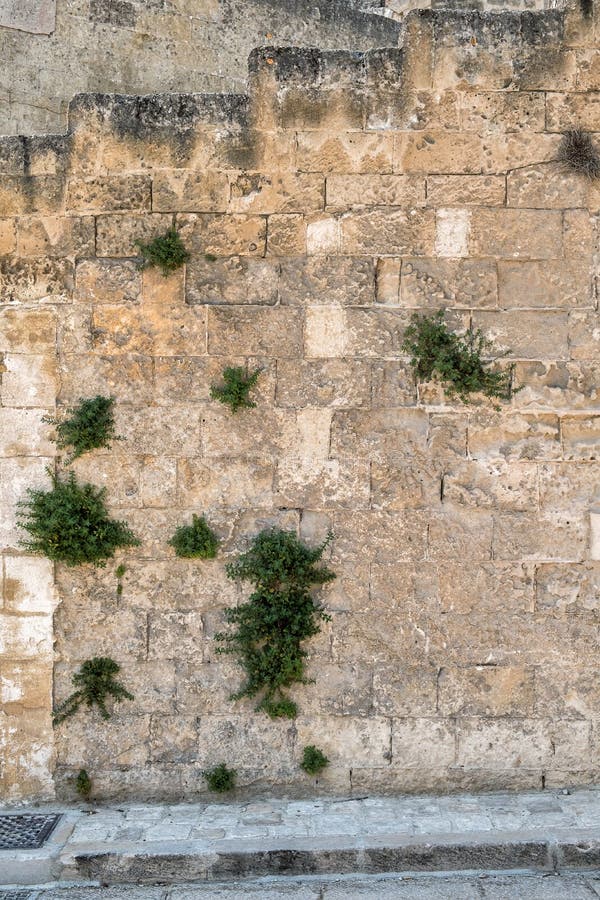 A Wall of Stone Blocks Overgrown Stock Photo - Image of ancient, brick ...