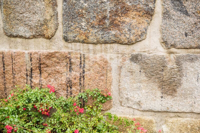 Wall of stone with flowers stock photo. Image of decor - 107003898