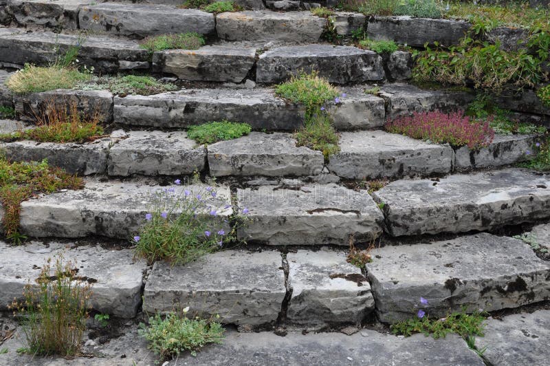 Wall, Stone Wall, Rock, Grass Picture. Image: 119767100