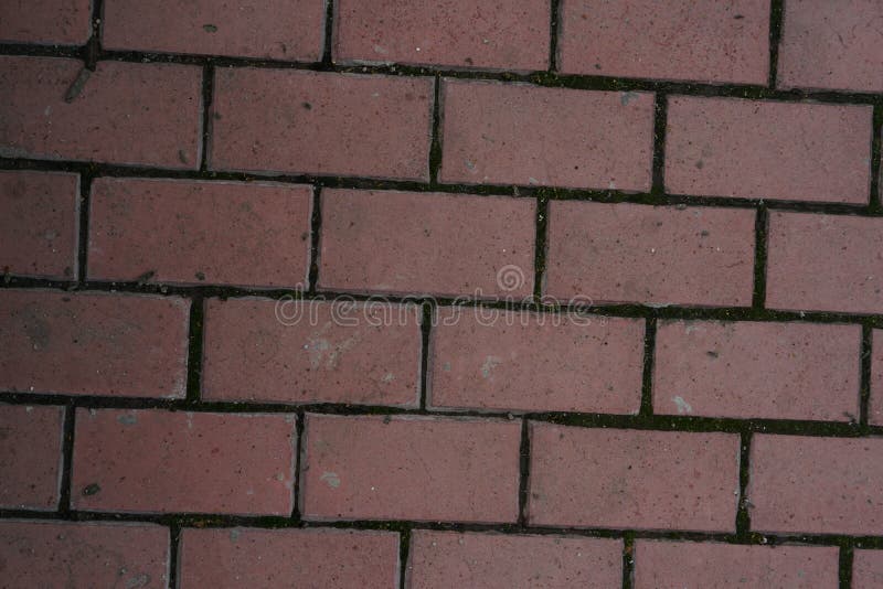 Wall for Texture Background, Free Space Template Stock Photo - Image of ...