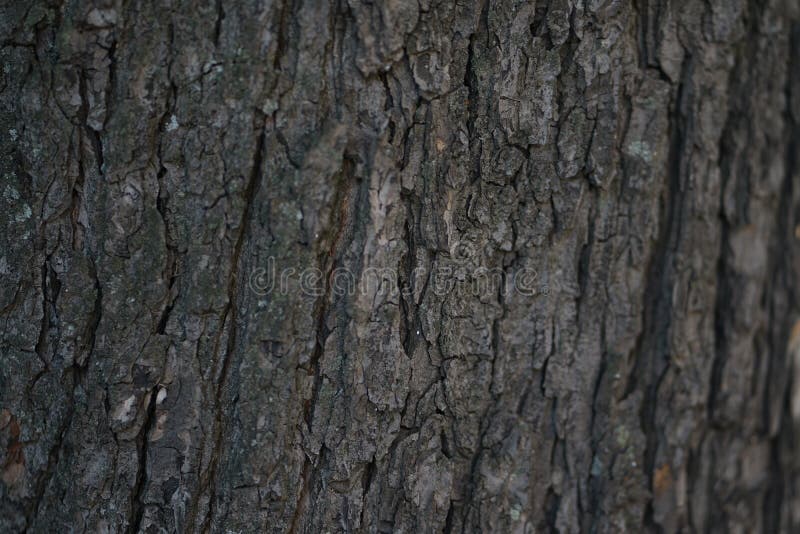 Wall for Texture Background, Free Space Template Stock Image - Image of ...