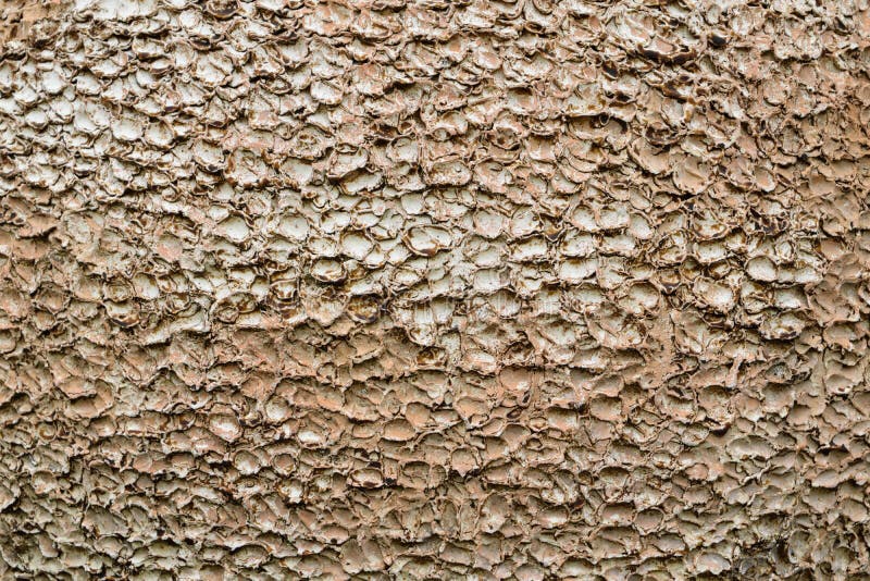Wall texture stock photo. Image of retro, wallpaper, texture - 57404984