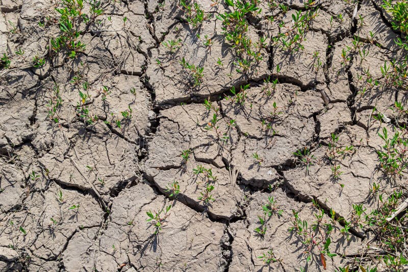 Wall Texture Soil Dry Crack Pattern of Drought Lack of Water of Nature ...