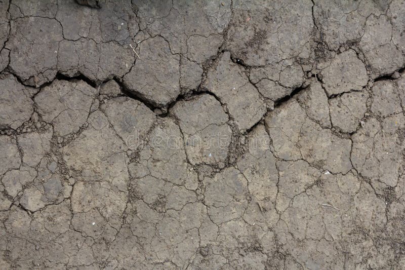 18,162 Texture Soil Dry Crack Background Pattern Stock Photos - Free ...