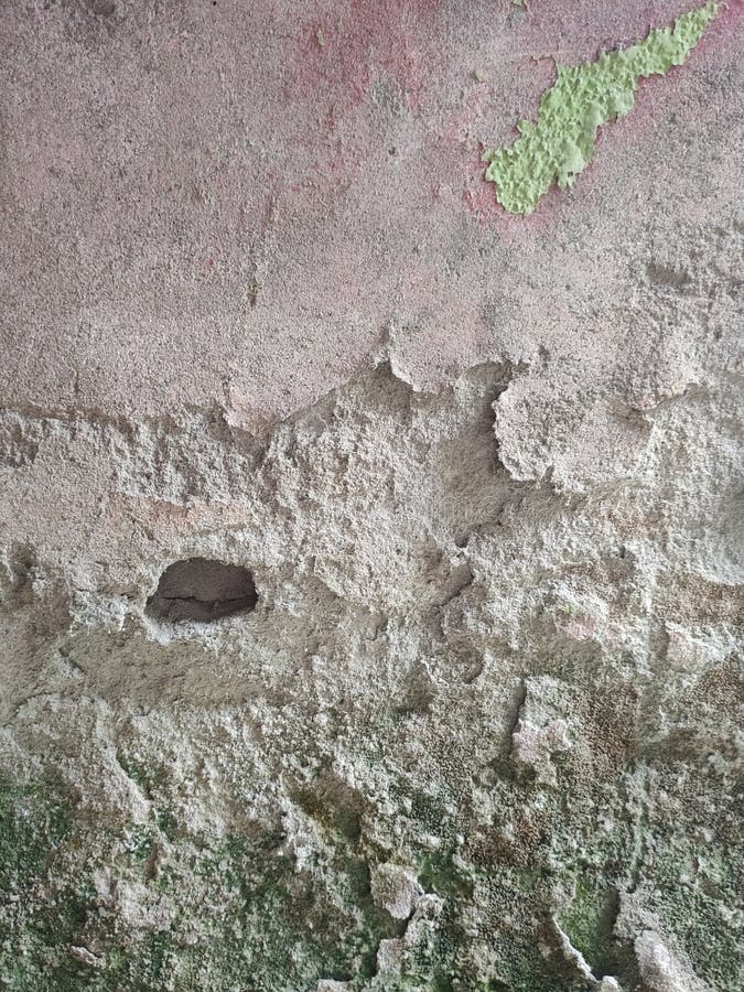 Wall, Texture, Walls Damaged by Fungus, Stock Photo - Image of broken ...