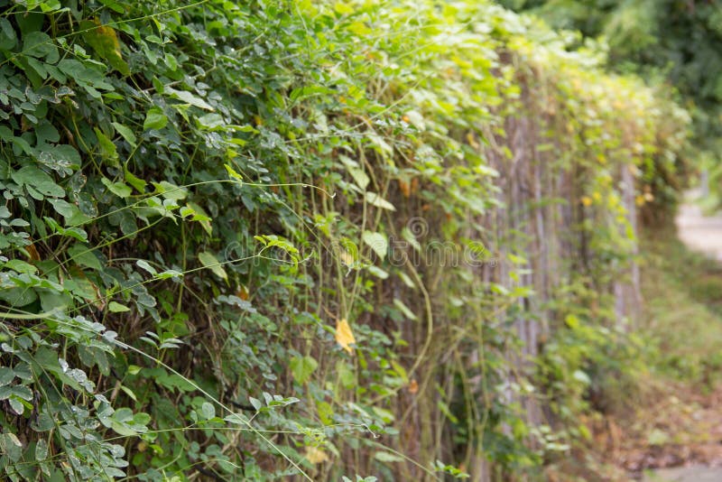 Bulwarks Brick Stock Photos - Free & Royalty-Free Stock Photos from ...