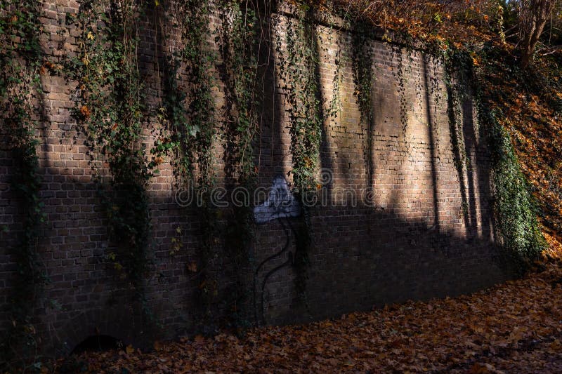A Wall with Vines on it that is Painted on a Brick Wall Stock Photo ...