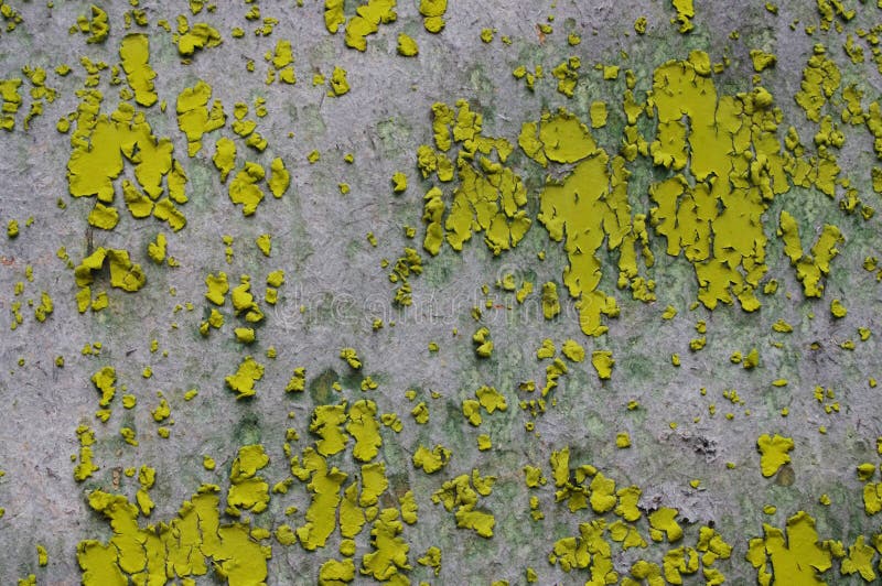 Texture Old Wall, with Which the Paint Peeled Off Stock Image - Image ...