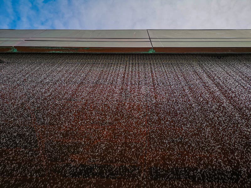Wall of Water Drops Falling Down Stock Image - Image of macro, splash ...