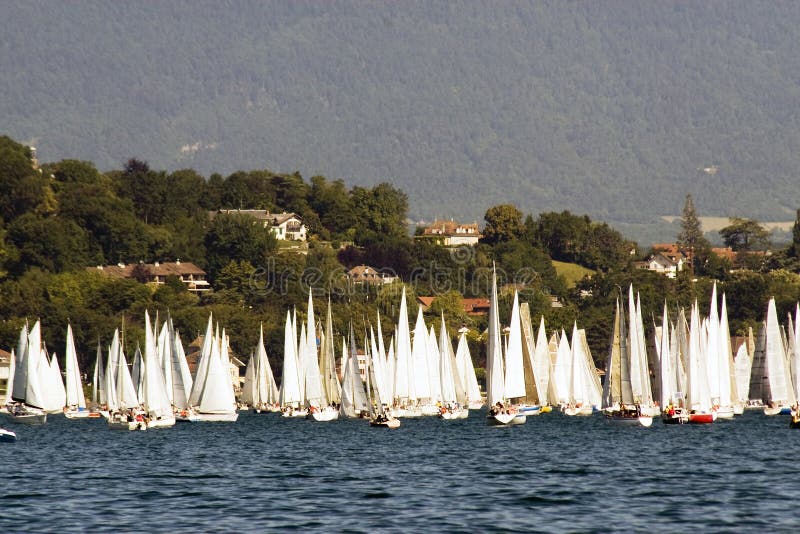 Wall of white sails stock image. Image of boats, sailing - 9927011