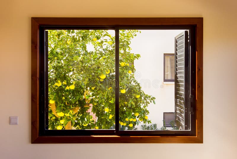 Wall with Window Indoors. Grapefruit Tree Growing Outside the Window ...