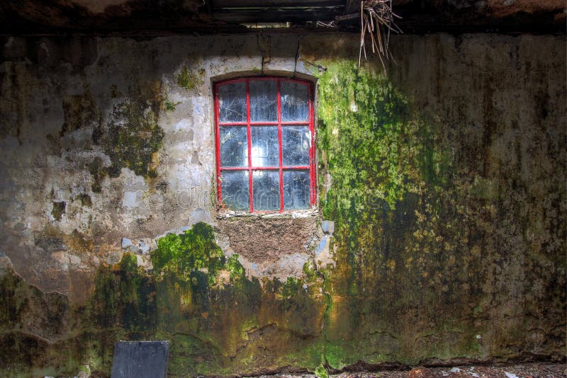 Wall and Window of Old Farmhouse Stock Image - Image of mossy, outdoors ...