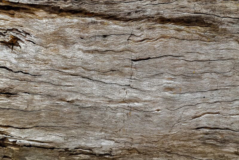 Texture background woody stock image. Image of parquet - 105878623