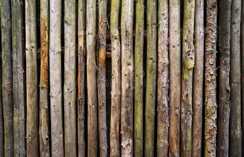 Wall of Wooden Bars, Branches, Background, Texture Stock Photo - Image ...