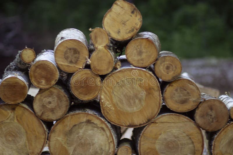 The Wall of a Wooden Log House Made Stock Photo - Image of house, stack ...
