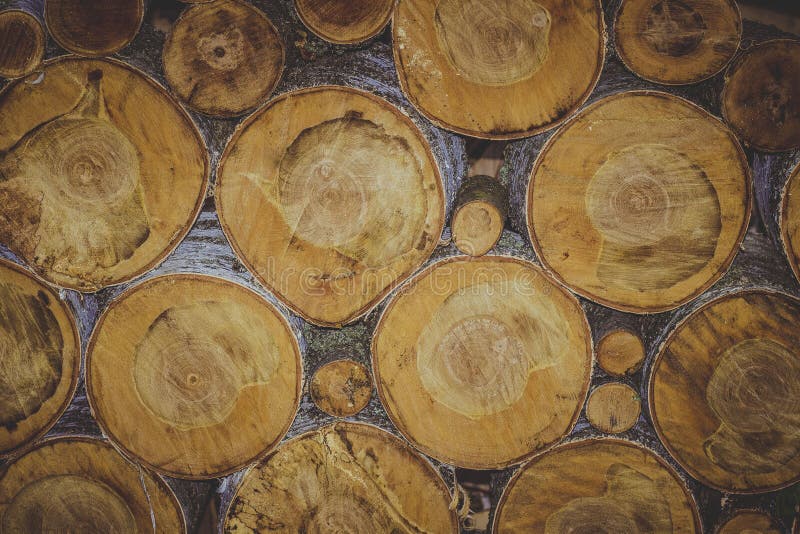 The Wall of a Wooden Log House Made Stock Photo - Image of round, trunk ...