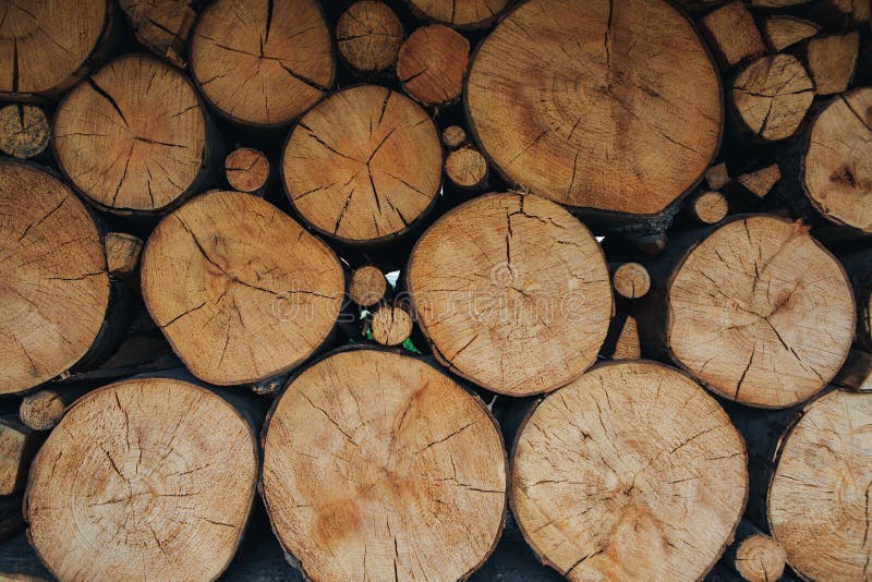 Decorative Wall, a Pile of Logs Stock Photo - Image of stump, decor ...